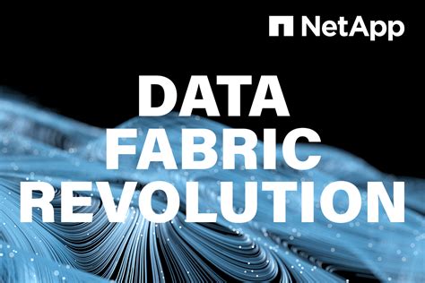Exclusive Interview Netapp Data Fabric Revolution Td Synnex Public