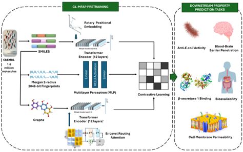 논문 리뷰 Cl Mfap A Contrastive Learning Based Multimodal Foundation