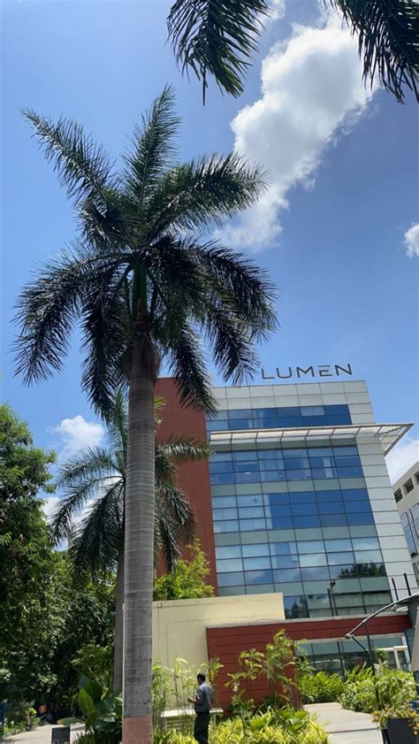 Hey Everyone After Working 14 Wonderful Years At Lumen It India Pvt Ltd Im Leaving To Start