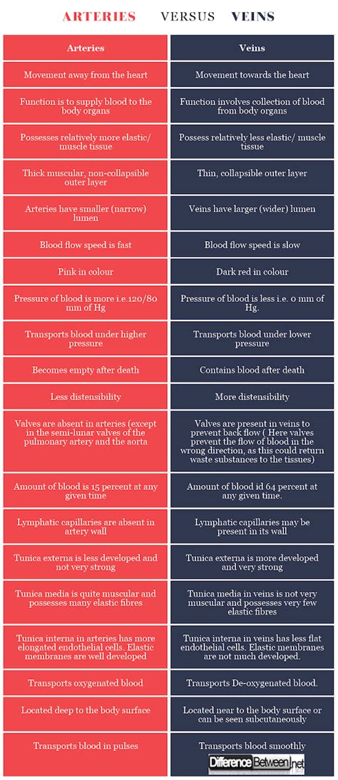 Difference Between Artery And Vein Difference Between