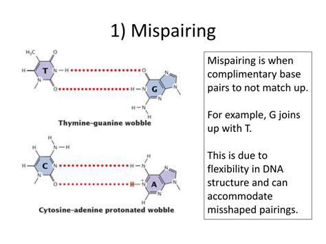 Ppt 52 Dna Replication Powerpoint Presentation Free Download Id