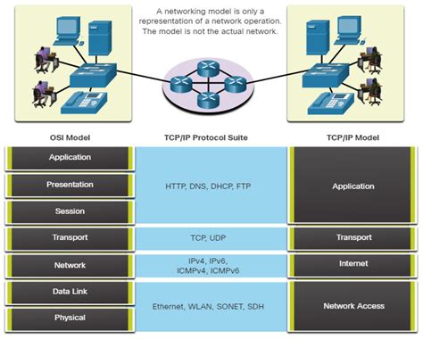 CCNA 1 V7 0 Curriculum Module 3 Protocols And Models