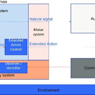 Human In The Loop Control For Prosthesis Download Scientific Diagram