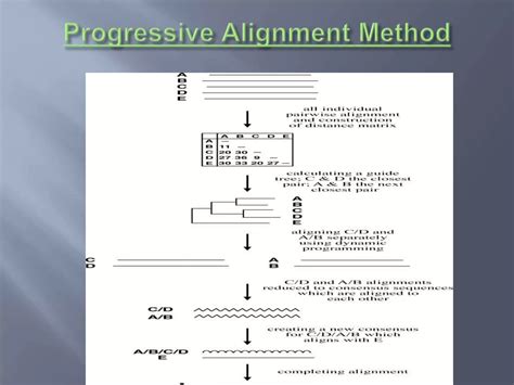 Sequence Alig Sequence Alignment Pairwise Alignment Pptx