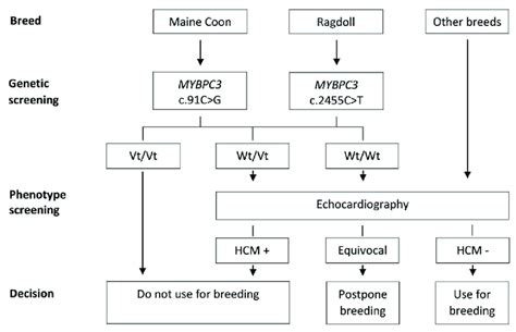 Recommendations For Screening And Breeding To Reduce The Prevalence Of
