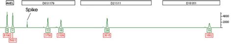Forensic Bioinformatics Dna Testing Issues