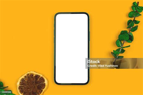 빈 흰색 화면 꽃 모형 개념 노란색 바탕 화면에 말린 꽃 복사 공간 평면 평신도 스마트 폰 0명에 대한 스톡 사진 및 기타 이미지 Istock
