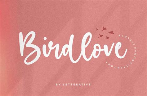 Birdlove Script Font Dfonts