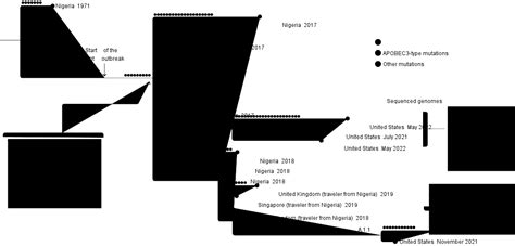 Will The Monkeypox Virus Become More Dangerous Science Aaas