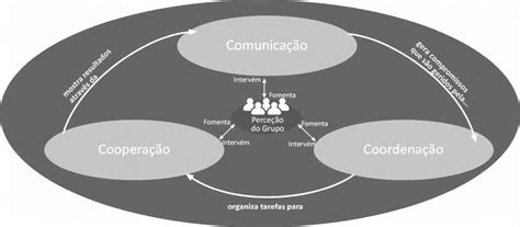 Modelo 3c De Elis Gibbs And Rein 1991 Adaptado Por Fuks E
