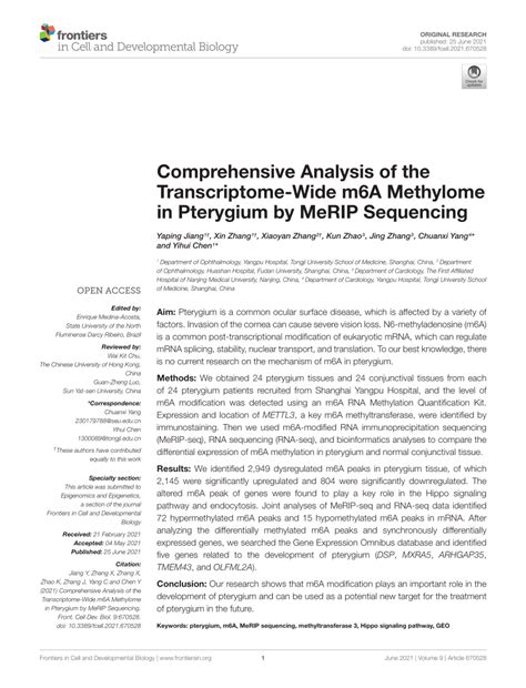 Pdf Comprehensive Analysis Of The Transcriptome Wide M6a Methylome In