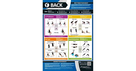 Back Poster Innovative Gym And Fitness Charts