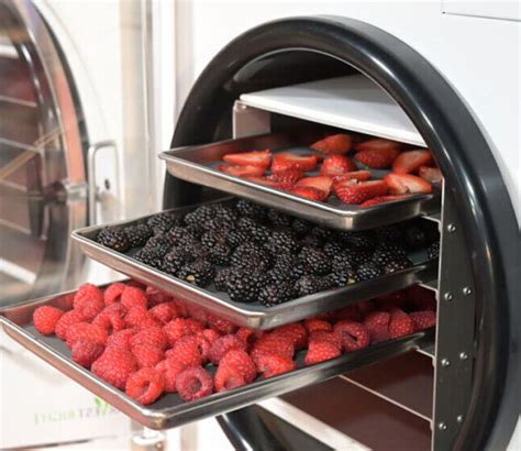 Freeze Dryer Manufacturers And Suppliers In Vadodara India