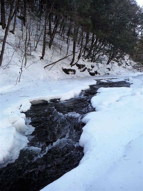 Plotter Kill Nature Preserve Hiking And Xc Skiing