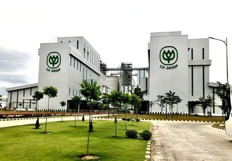 “Ông Trùm” Thức ăn Chăn Nuôi Thái Lan Tại Việt Nam Tổng Doanh Thu Vài