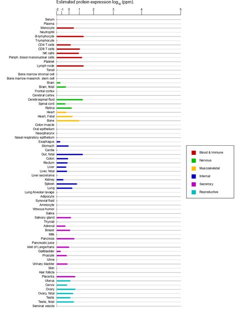 Stag2 Gene Genecards Stag2 Protein Stag2 Antibody