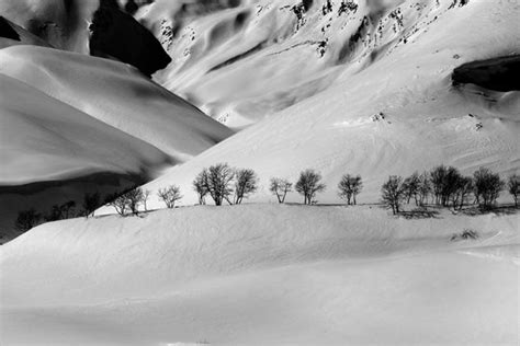 「whigh」の画像 13 件の Stock 写真、ベクターおよびビデオ Adobe Stock