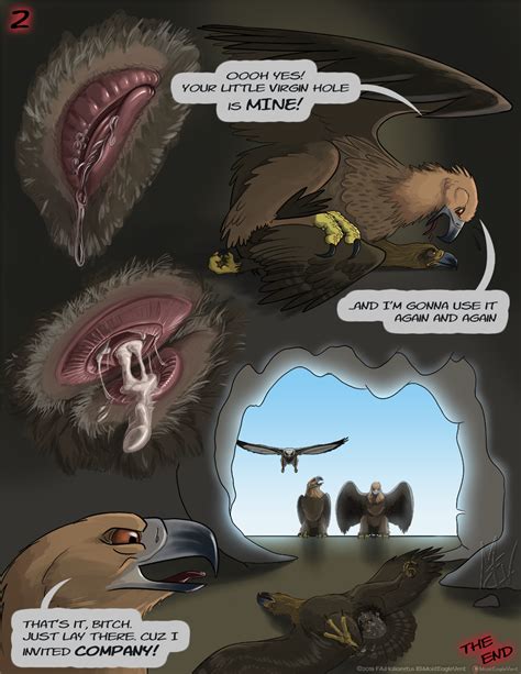 Rule 34 4 Toes Accipitrid Accipitriform After Sex Anatomically