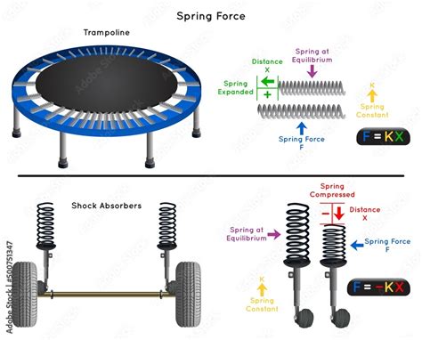 Spring Force Infographic Diagram Example Of Trampoline And Vehicle