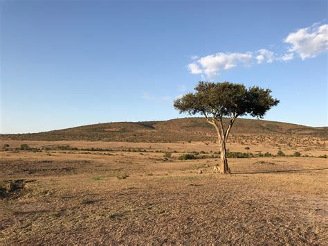 여자 혼자 케냐 여행 안전한가요