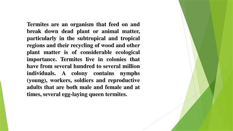 Solution Termites Characteristics Life Cycle Control Order