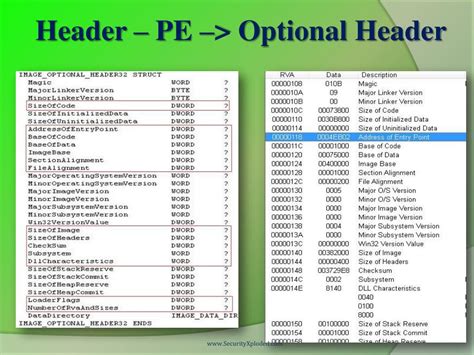 PPT Part III Windows PE File Format Basics PowerPoint Presentation ID