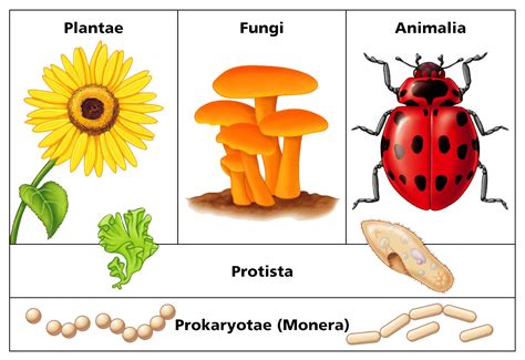 Datascience Deep Dive Logistic Regression With Python