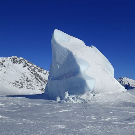 frozen module 1 planning preparation and medical wild human