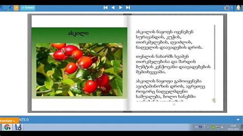 სამკურნალო მცენარეები Youtube