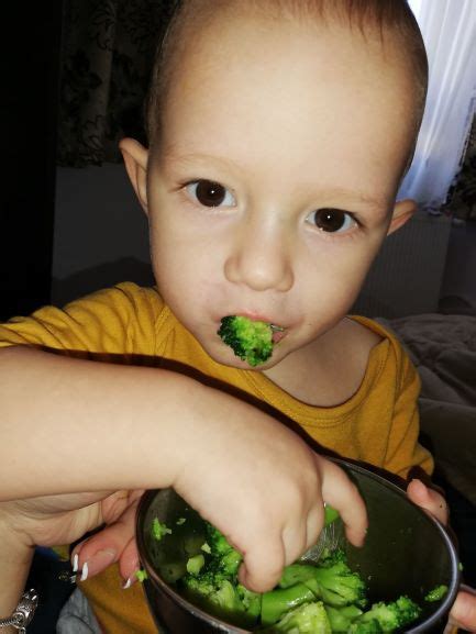 Meniu Copil 2 Ani Meniu Copii Mămici și Copilași Tot Despre