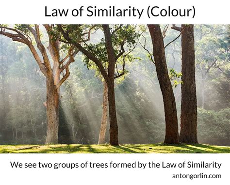 Gestalt Principles Similarity Examples Kotiblue