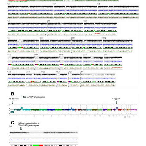 Deletions Of Chromosome 9p A Array Copy Number Analyses Of Download Scientific Diagram
