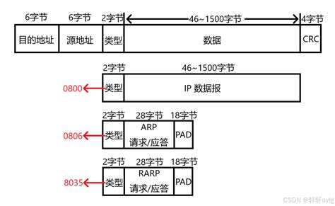 Linux网络——数据链路层linux Mac数据链路层直接通信的例子 Csdn博客