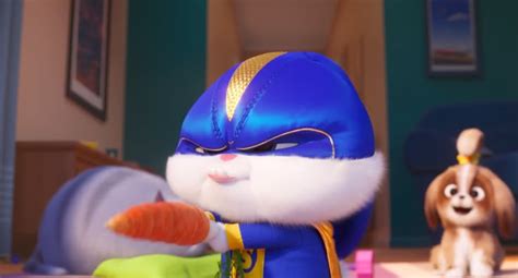 Captain Snowball Snowball Rabbit Cute Cartoon Wallpapers Snowball