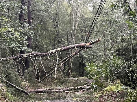 Tornado In Killingly Uprooted Trees With 100 Mph Winds NWS Says