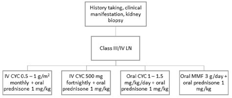 Induction Therapy Algorithm According To Kdigo 2012 17 Ln Lupus Download Scientific Diagram