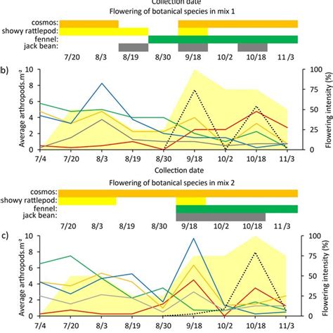 Population Dynamics Of Very Frequent And Constant Predatory Arthropods Download Scientific