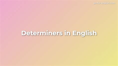 understanding determiners in english a comprehensive guide