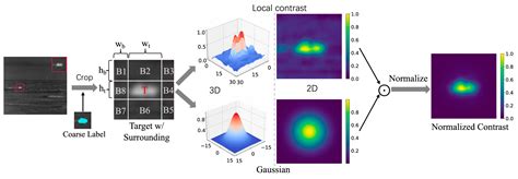 Sensors Free Full Text Infrared Dim Small Target Detection Networks A Review