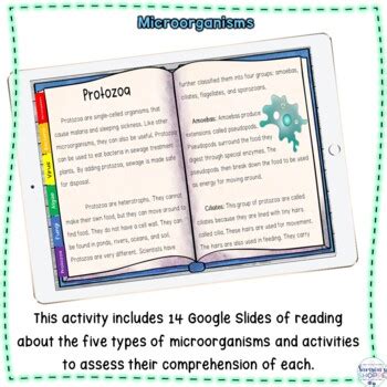 Microorganisms Digital Interactive Notebook DINB Activity By Samson S Shoppe