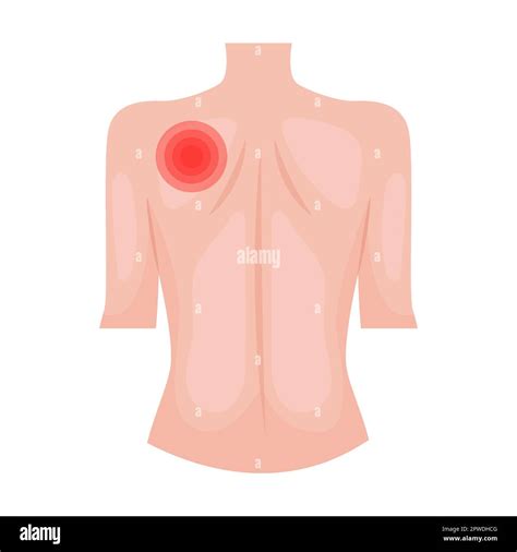 How To Draw The Left Shoulder