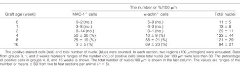 Table 1 From Animal Model Mouse Model Of Venous Bypass Graft