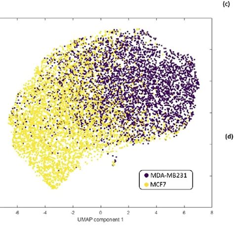 Label Free Classification Of Breast Cancer Cell Sub Types Based On Download Scientific Diagram
