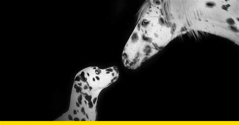 7 Ways To Improve Testing Efficiency In Application Development Jt Org