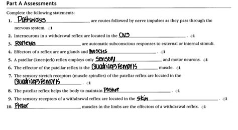 Reflex Lab Activity Sports Medicine Portfolio
