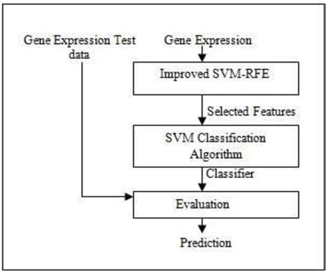 Figure 2 From An Improved Feature Selection And Classification Of Gene Expression Profile Using