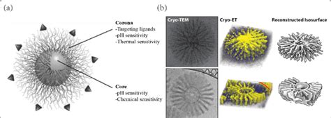 A Schematic Illustration Of The Core Shell Structure Of A Polymer Download Scientific Diagram