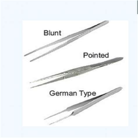 Buy Ss Forceps Get Price For Lab Equipment