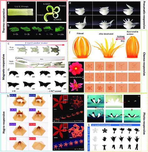 Representative Examples Of Bioinspired 4d Printing A Heat Actuated