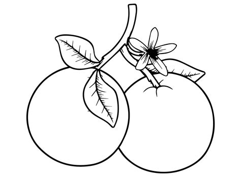 45 Oranges Coloring Pages